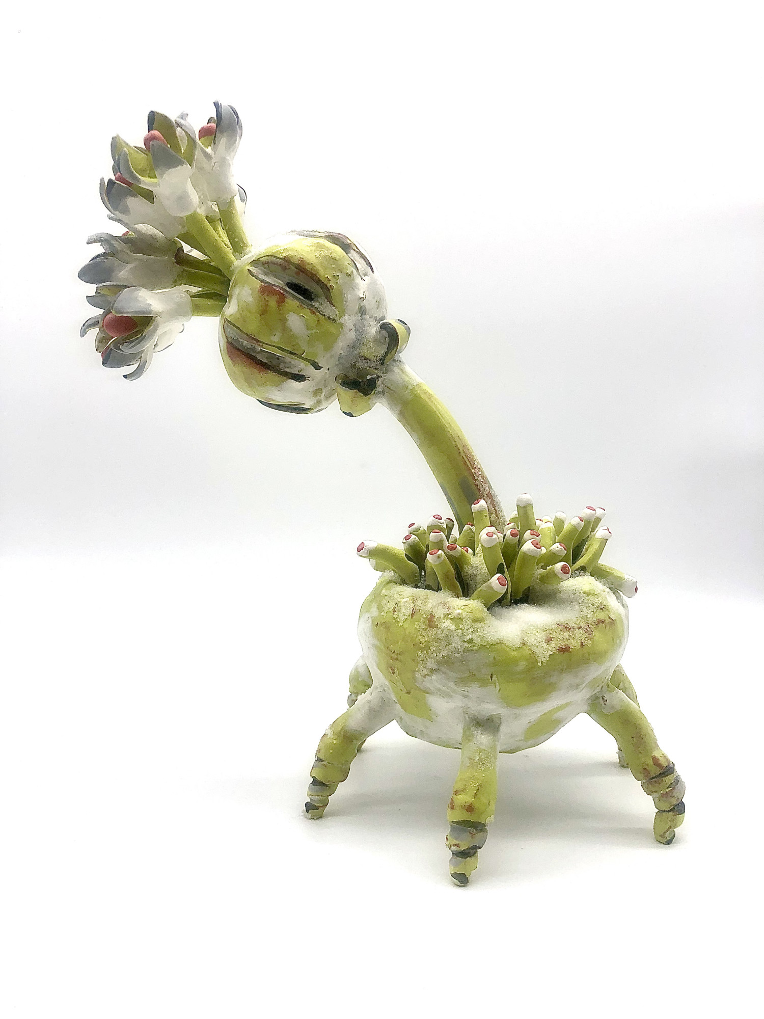 FAR AND WIDE NATIONAL - Ceramic Review : Ceramic Review
